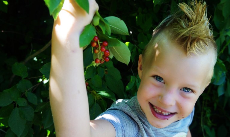 Wild Edible Foods of the Midwest – TREEfool